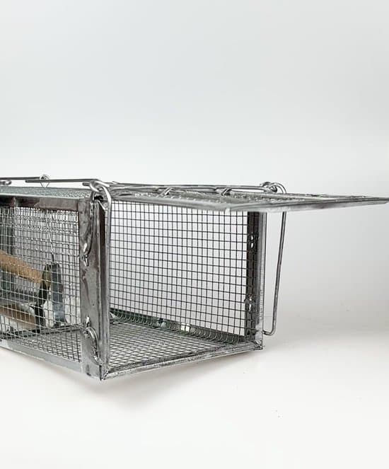 ValueStar Rattenval - Rattenval voor buiten - Ongediertebestrijding ...