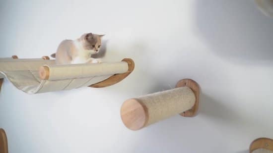 RHRQuality Wandmeubel wandmontage Klimmuur Kat 53 x 43cm Luxe Hangmat ...