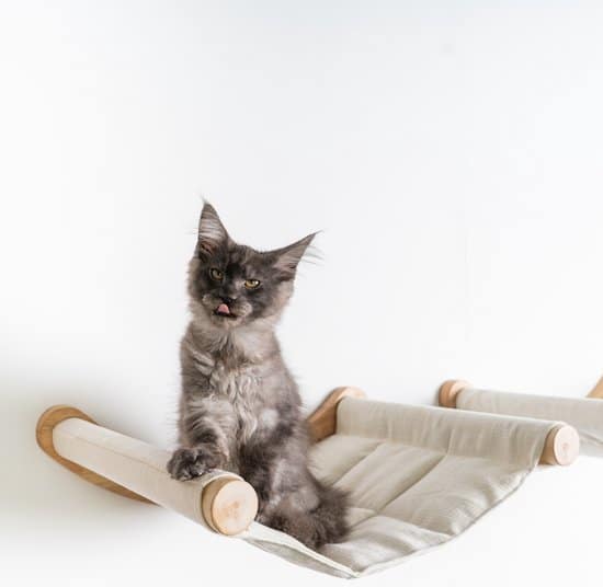 RHRQuality Wandmeubel wandmontage Klimmuur Kat 53 x 43cm Luxe Hangmat ...