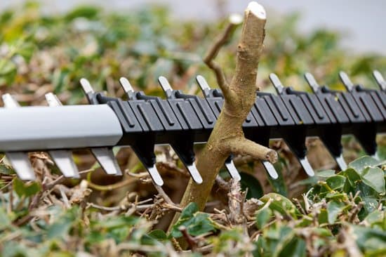 Bosch Professional GHE 18V-60 Accu Heggenschaar 18V Basic Body ...